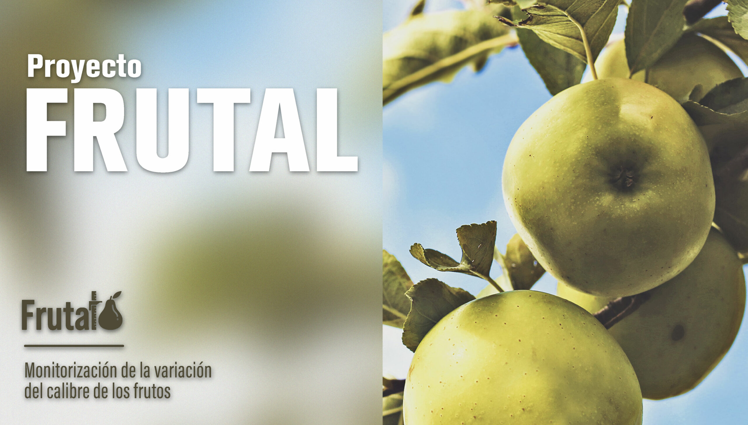 Proyecto Frutal